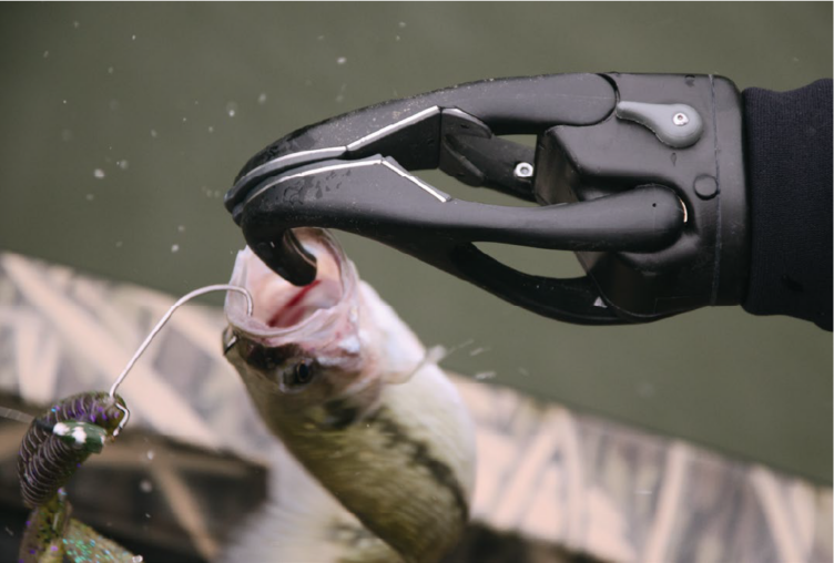 Fillauer Brand Guide - Hanger