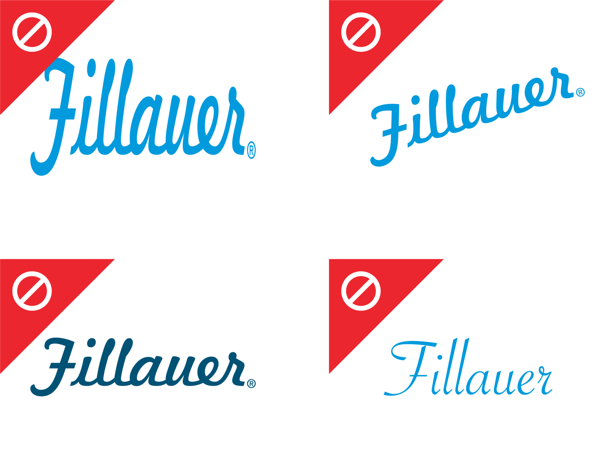 Fillauer Brand Guide - Hanger